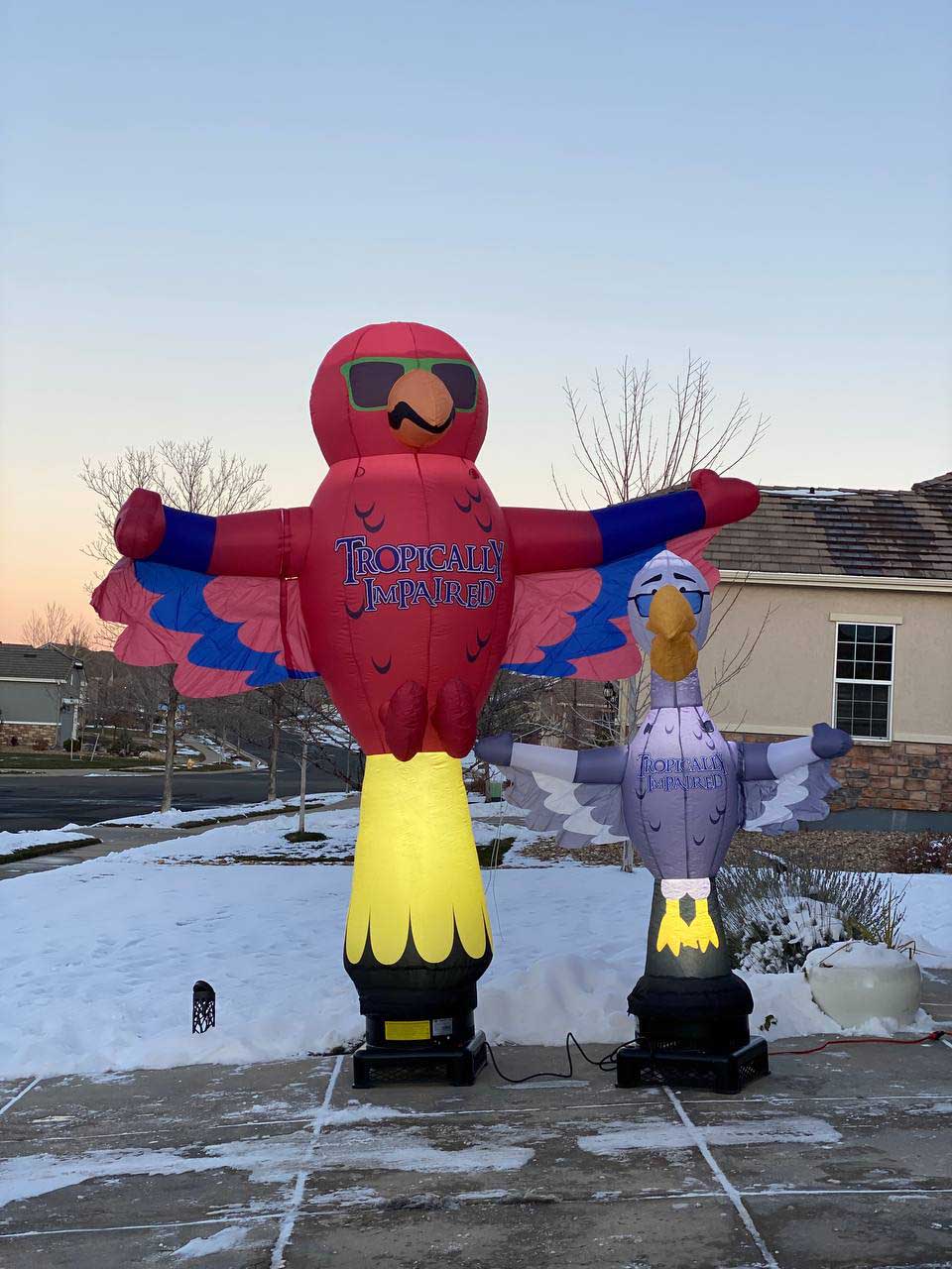 Inflatable Birds – AltAir Inflatables